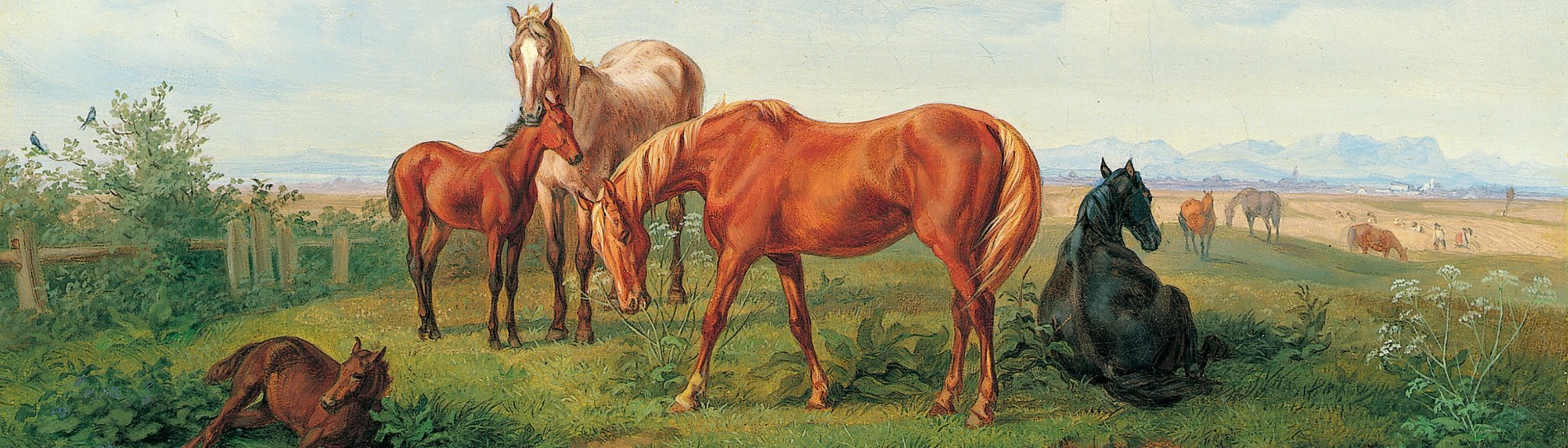 Albrecht Adam - Unsere Künstler - Gailer Fine Art Chiemsee